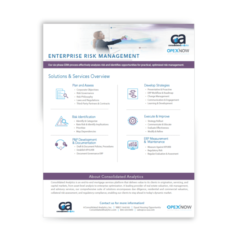 Enterprise Risk Management | Consolidated Analytics