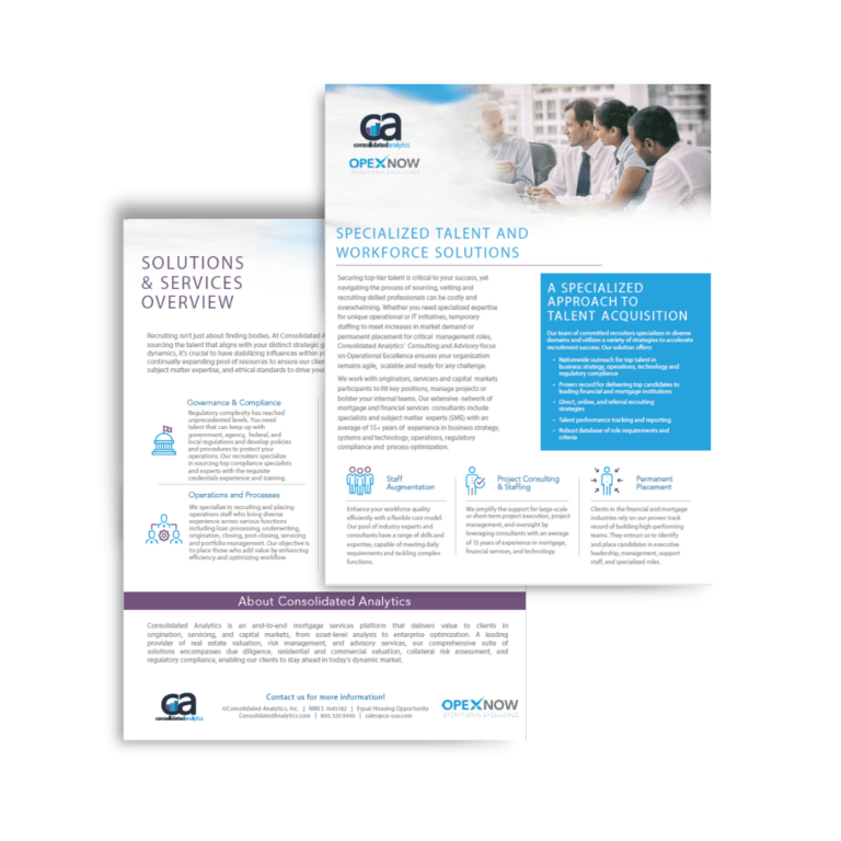 Specialized Talent and Workforce Solutions | Consolidated Analytics